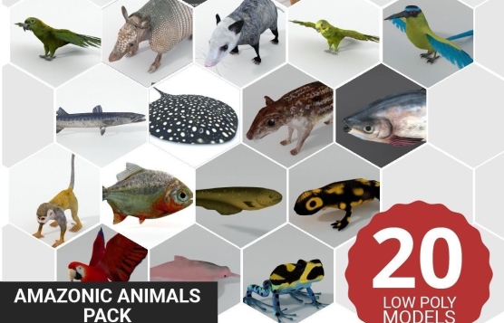 20 Low poly Amazonic Animals Pack 3D Model Collection