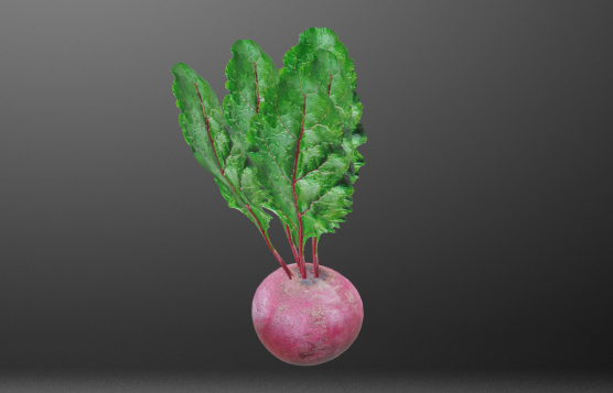 Beetroot radish