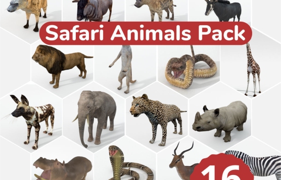 16 African Safari Pack