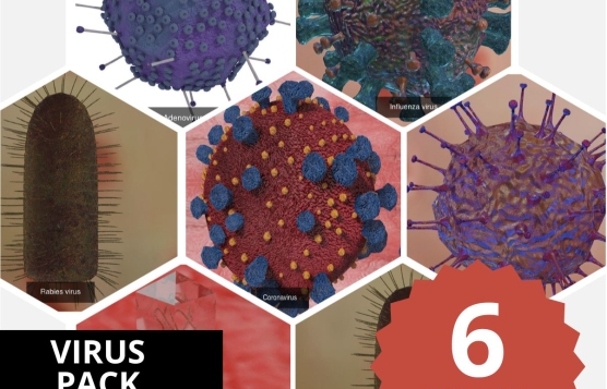 6 Virus 3d models package
